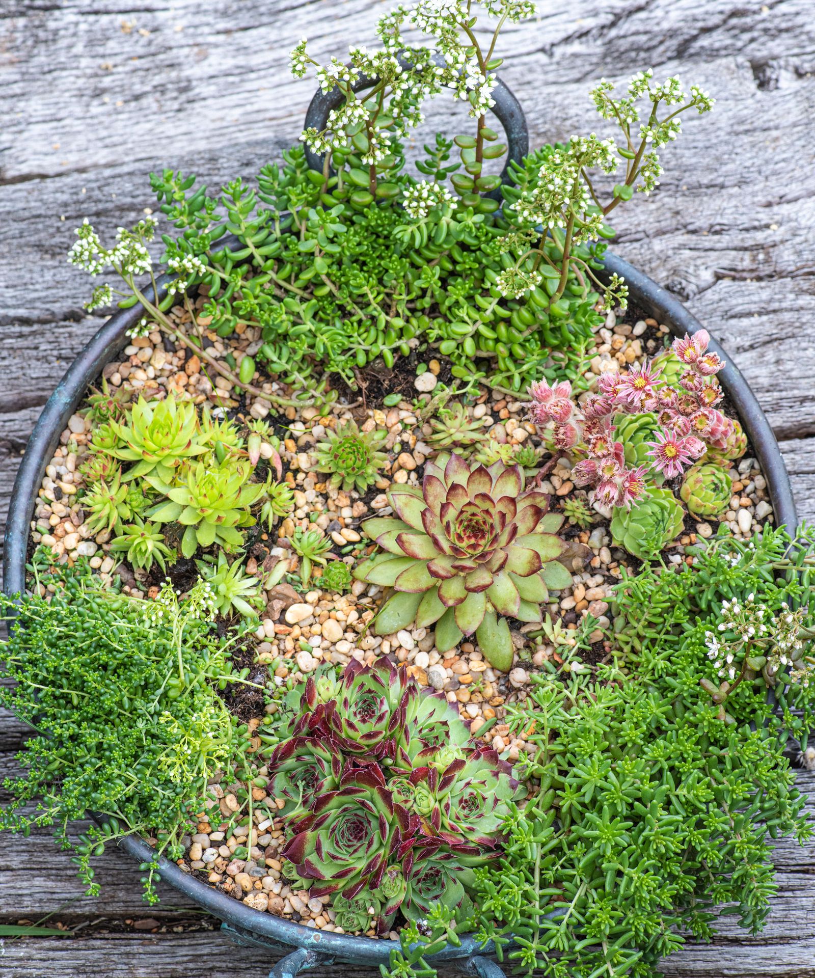 Summer container planting ideas: 11 seasonal looks | Homes and Gardens