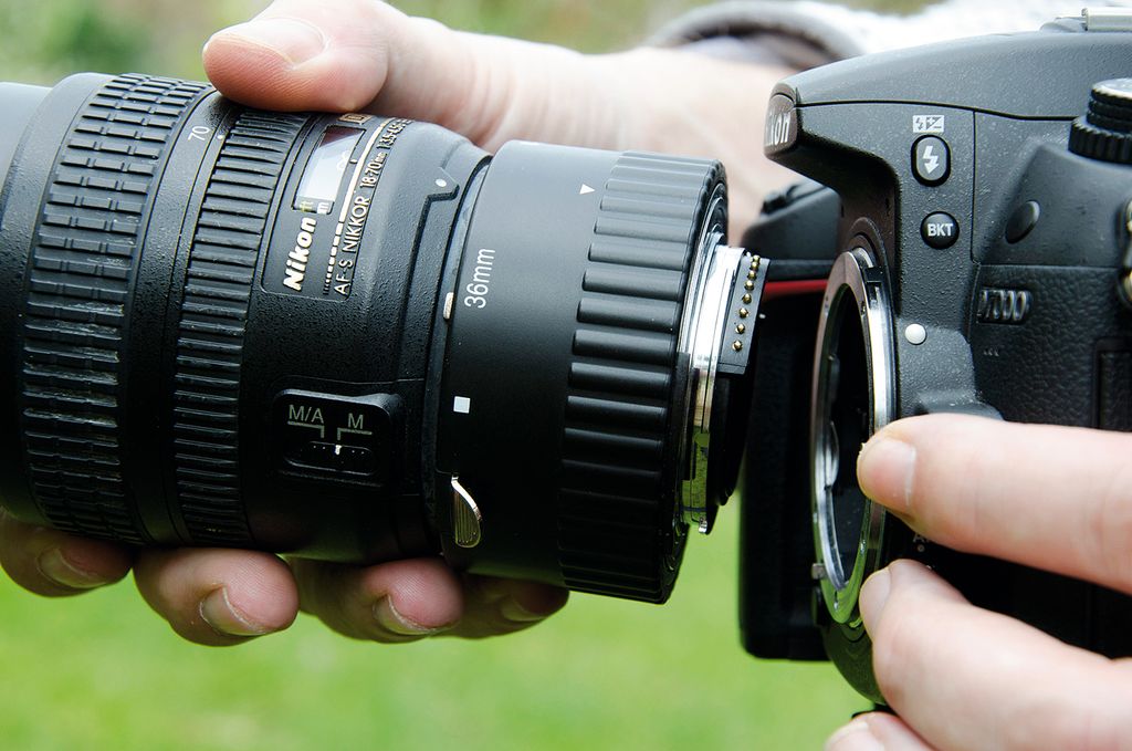 How to use extension tubes for low-cost macro photography | Digital ...