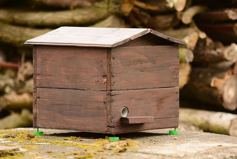 Bumblebee Shelter - How To Make A Bumblebee Nest For The Garden ...