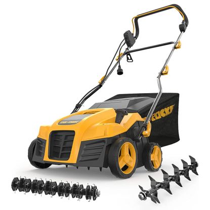 Scarifying vs dethatching: experts explain the differences | Homes and ...