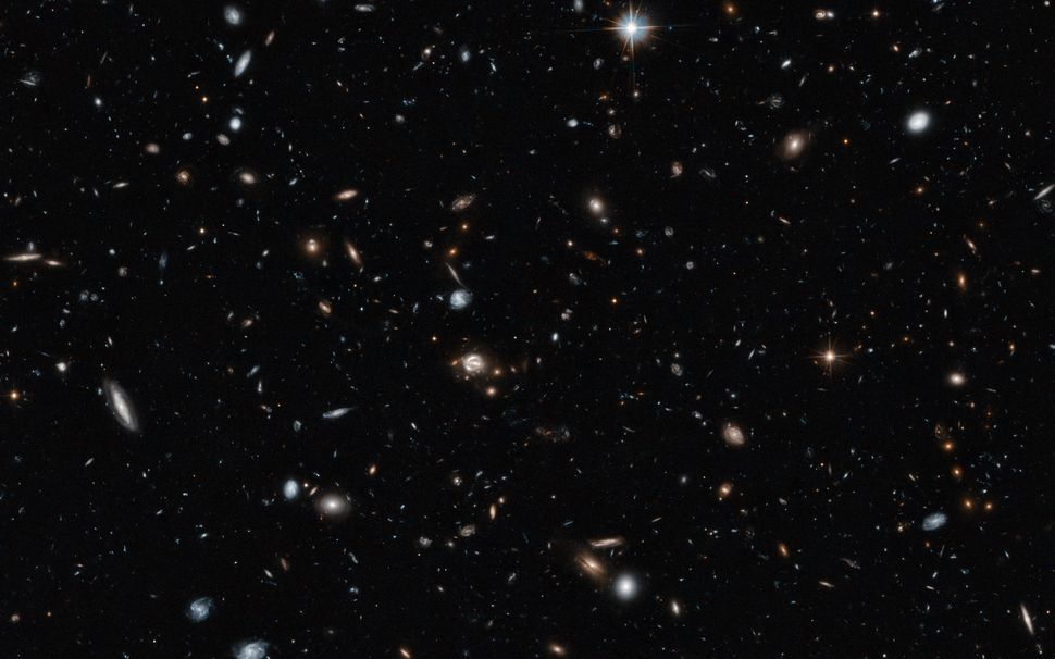 Cross-Section of the Universe Wallpaper | Space