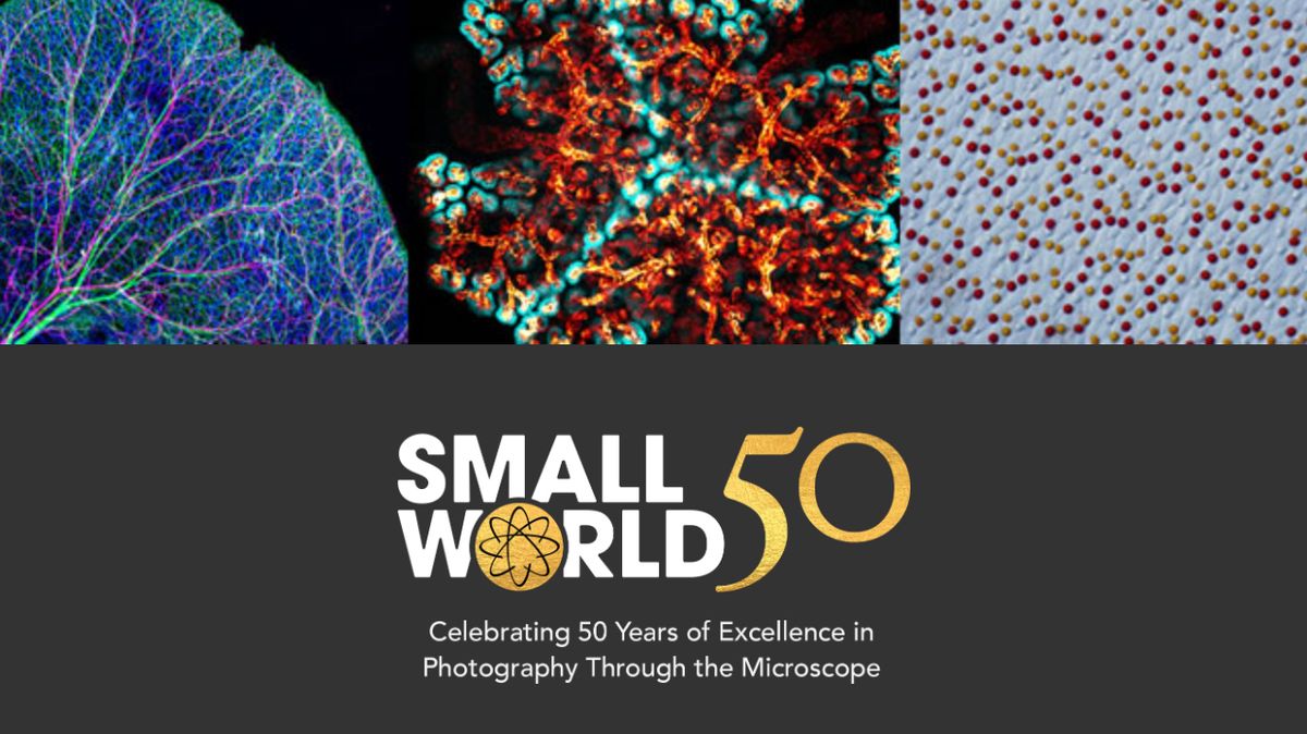 These are the best photo competitions you can enter in April 2026 ...