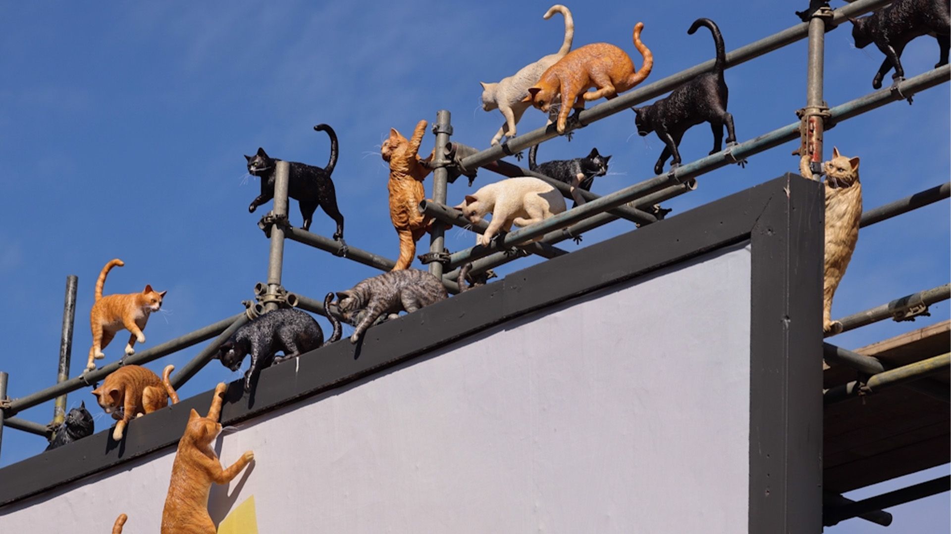 Invasion of the cats! These wild Dreamies billboards are my favourite ...
