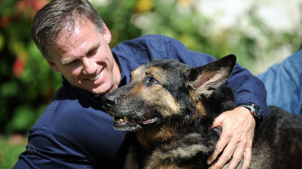 32 of the most famous dogs | PetsRadar