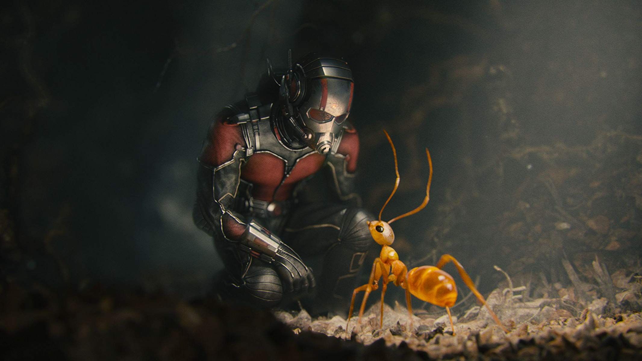 How to watch Ant-Man | What to Watch