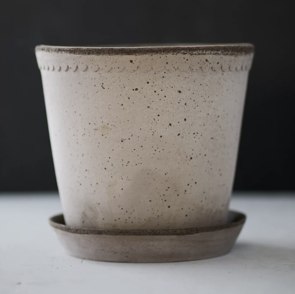 If you get this right, your houseplants will thrive. Experts explain ...