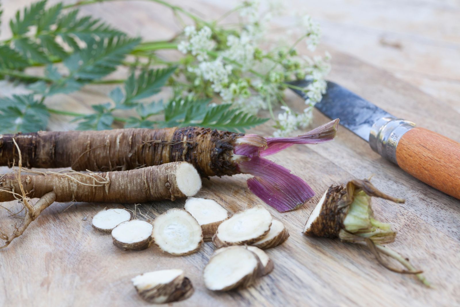 Nine unusual berries that you should be growing in your garden, from ...