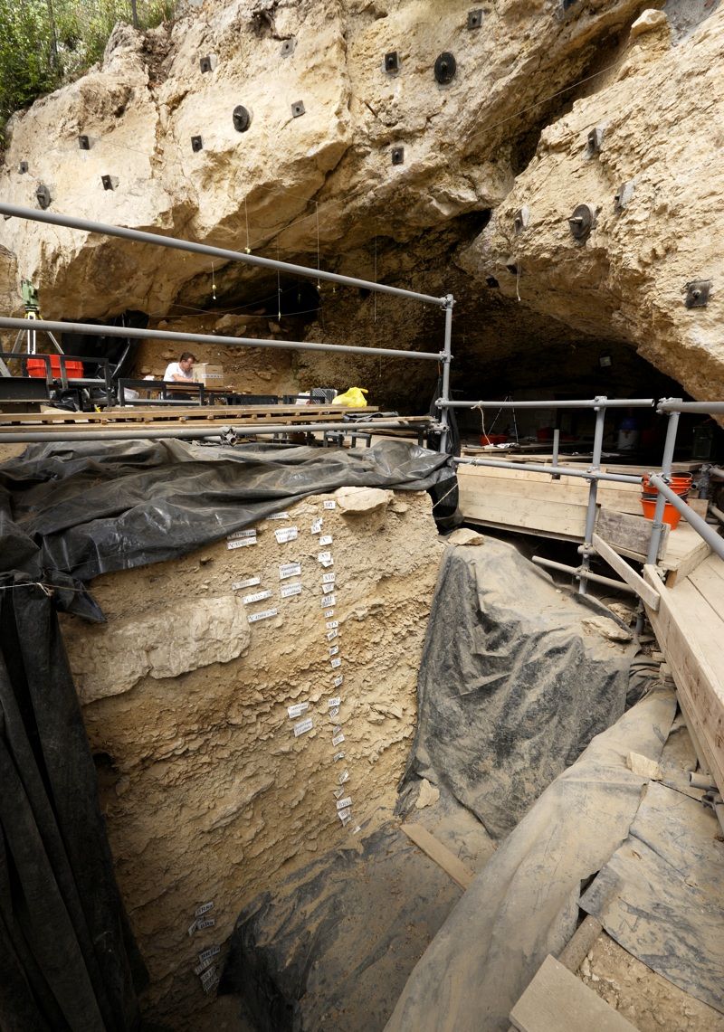 Fossil Teeth Suggest Humans Played Role in Neanderthal Extinction ...