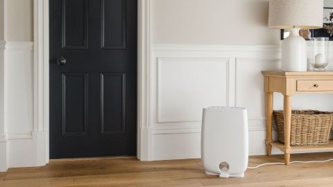 5 ways to dry out a room without a dehumidifier — and reduce dampness ...