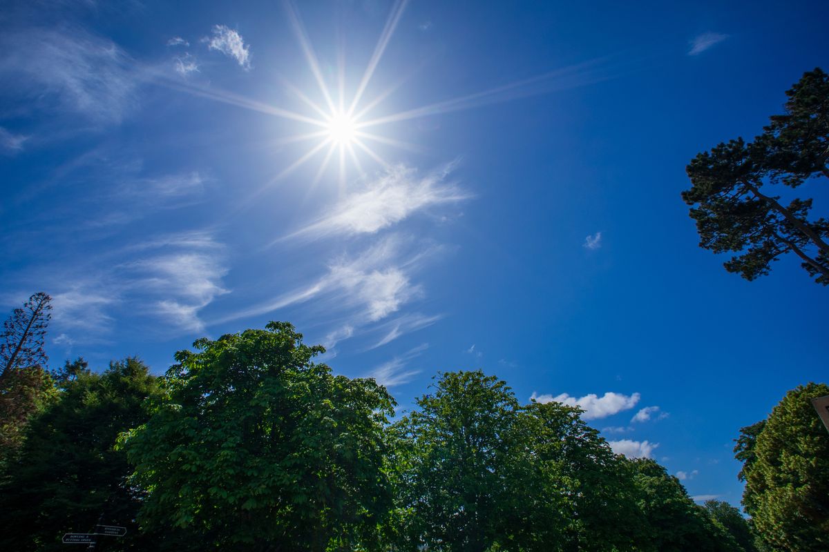 Yongnuo YN11mm F1.8S DA DSM WL review: mighty wide perspective meets ...