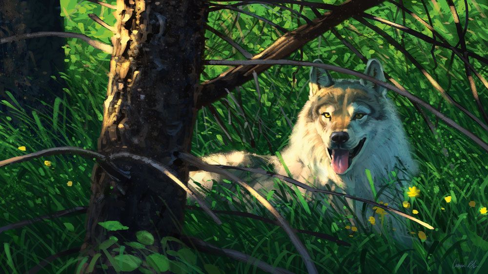 How to draw animals: 15 top tips | Creative Bloq