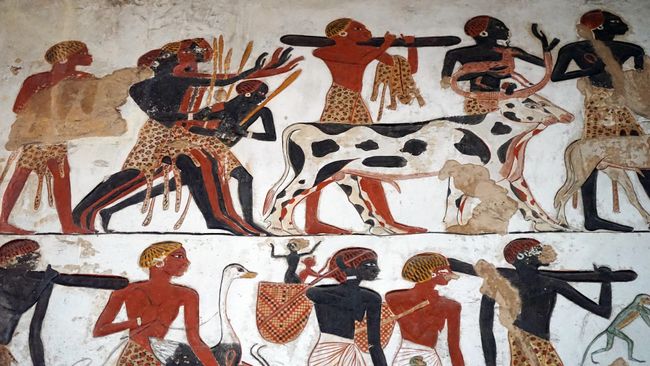 Bones with names: Long-dead bodies archaeologists have identified ...