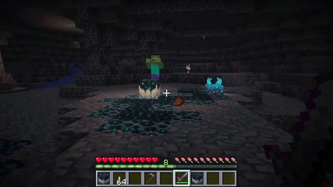 Minecraft The Wild update details, biomes, blocks, the Warden and more ...