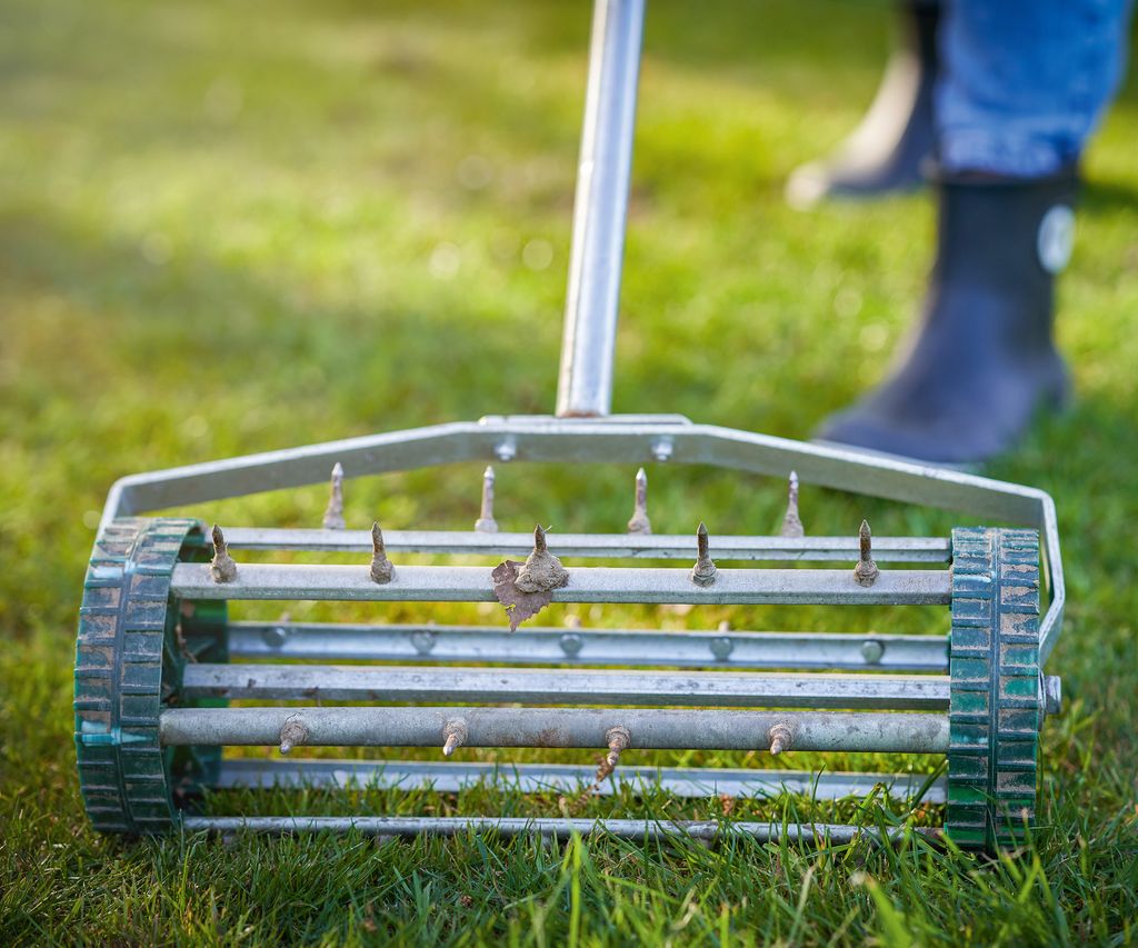 Ultimate lawn care guide: 9 expert tips for success | Homebuilding