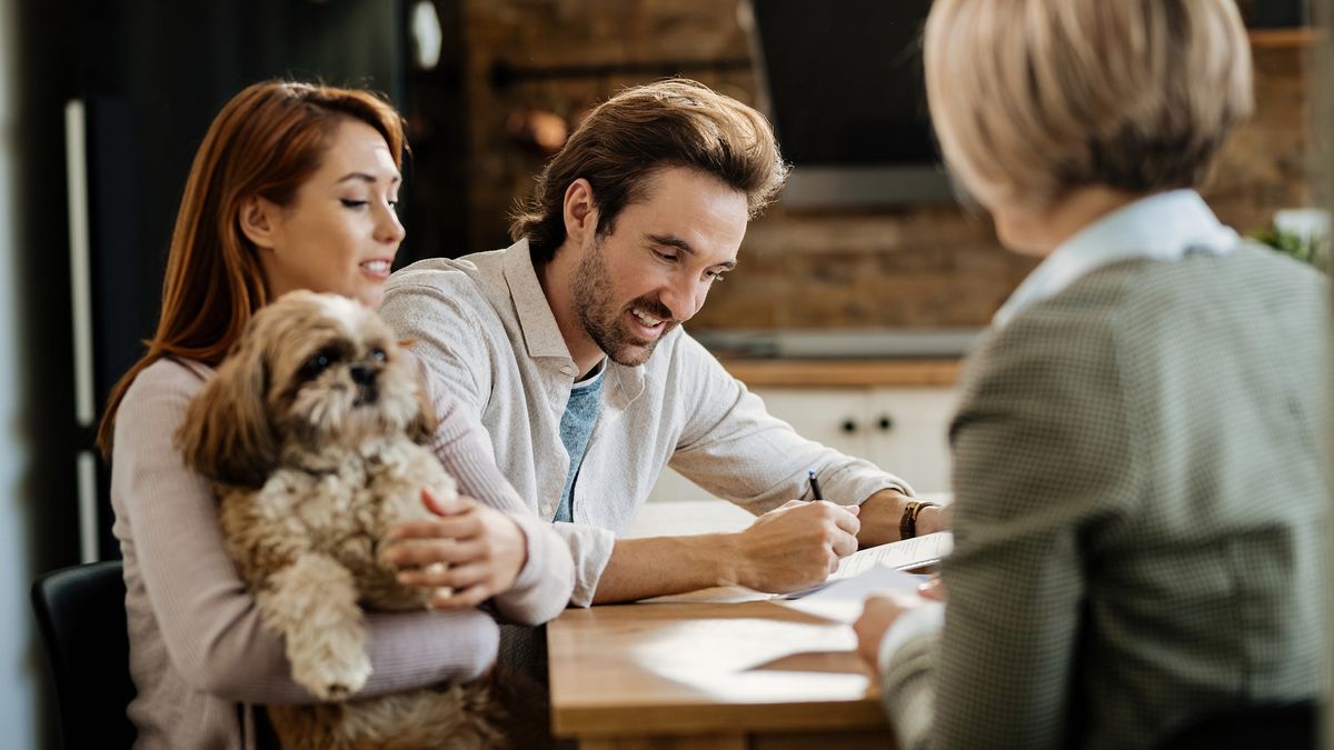 32 ways to be a responsible dog owner | PetsRadar