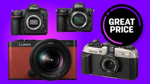 Best face masks ever! Put a selfie on your face with these custom photo ...