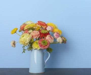 How to choose the right vase for your cut flowers | Homes and Gardens