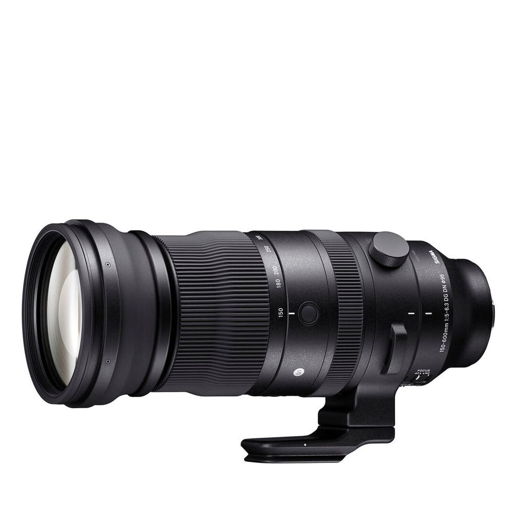 The best lenses for safari photography: get close to wildlife while maintaining a respectful ...