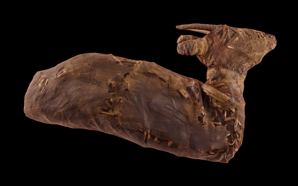 Photos: The Amazing Mummies of Peru and Egypt: Page 2 | Live Science