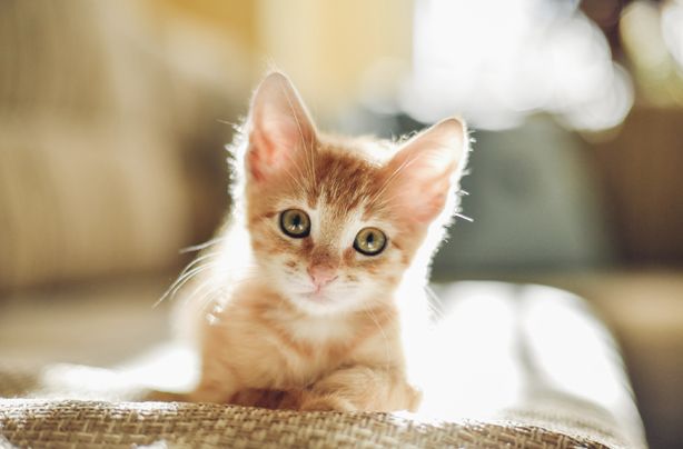 Things you didn't know you could do with Vicks VapoRub | GoodtoKnow