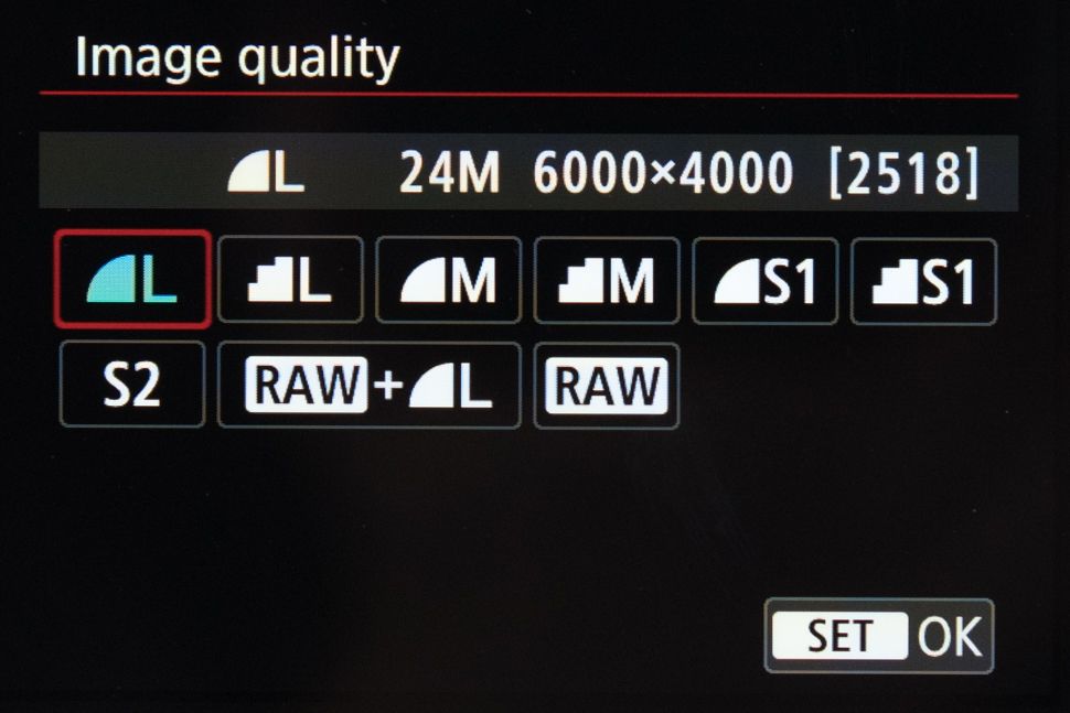 Raw vs JPEG: 8 reasons to shoot JPEGs over Raw files | Digital Camera World