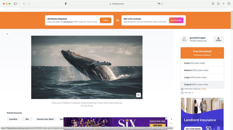 Vecteezy review | TechRadar