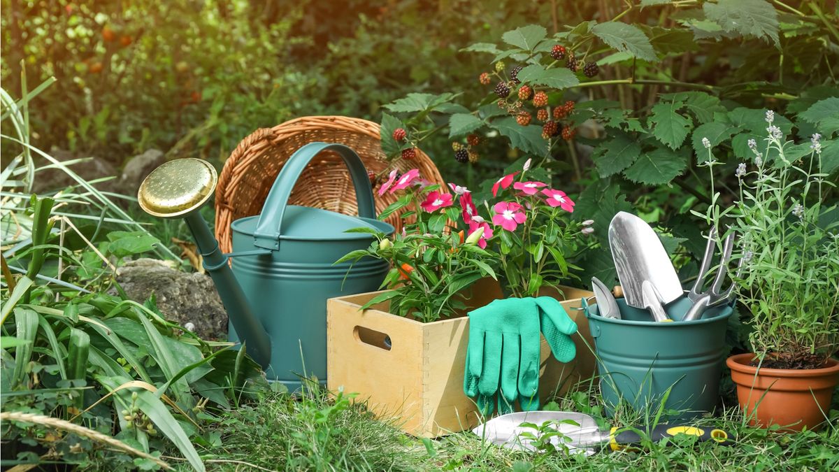 5 tasks for beginner gardeners: Where to start in your yard | Homes and ...