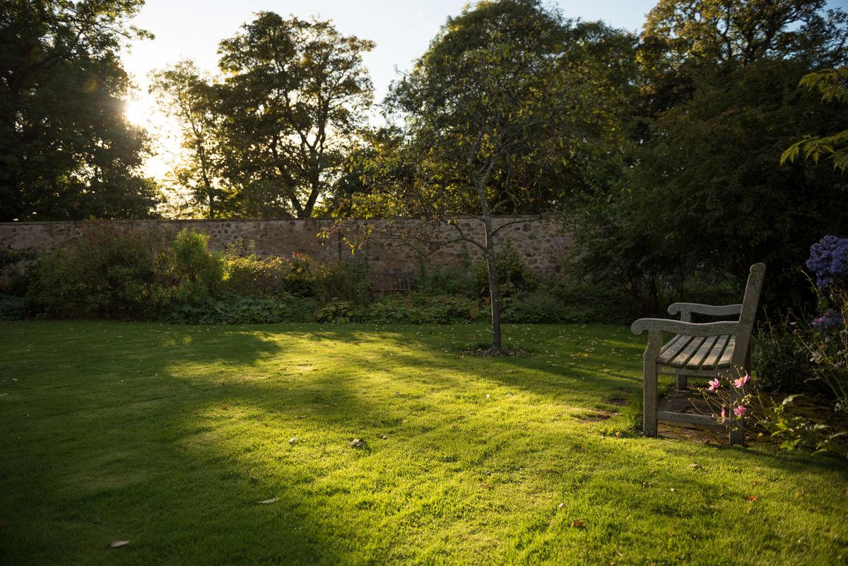 Experts reveal 5 steps to fix a waterlogged lawn | Livingetc