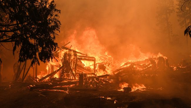 Wildfires are getting more intense around the world due to human-driven ...