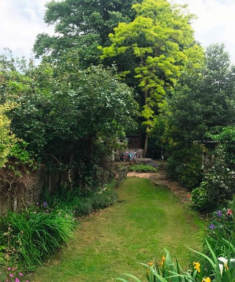 Narrow Garden Ideas: 14 Ways to Maximise Space | Homebuilding