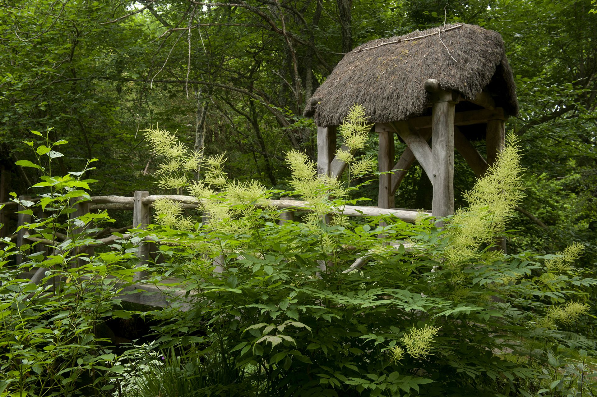 Birkhall: The home of The Prince of Wales on the Balmoral estate ...