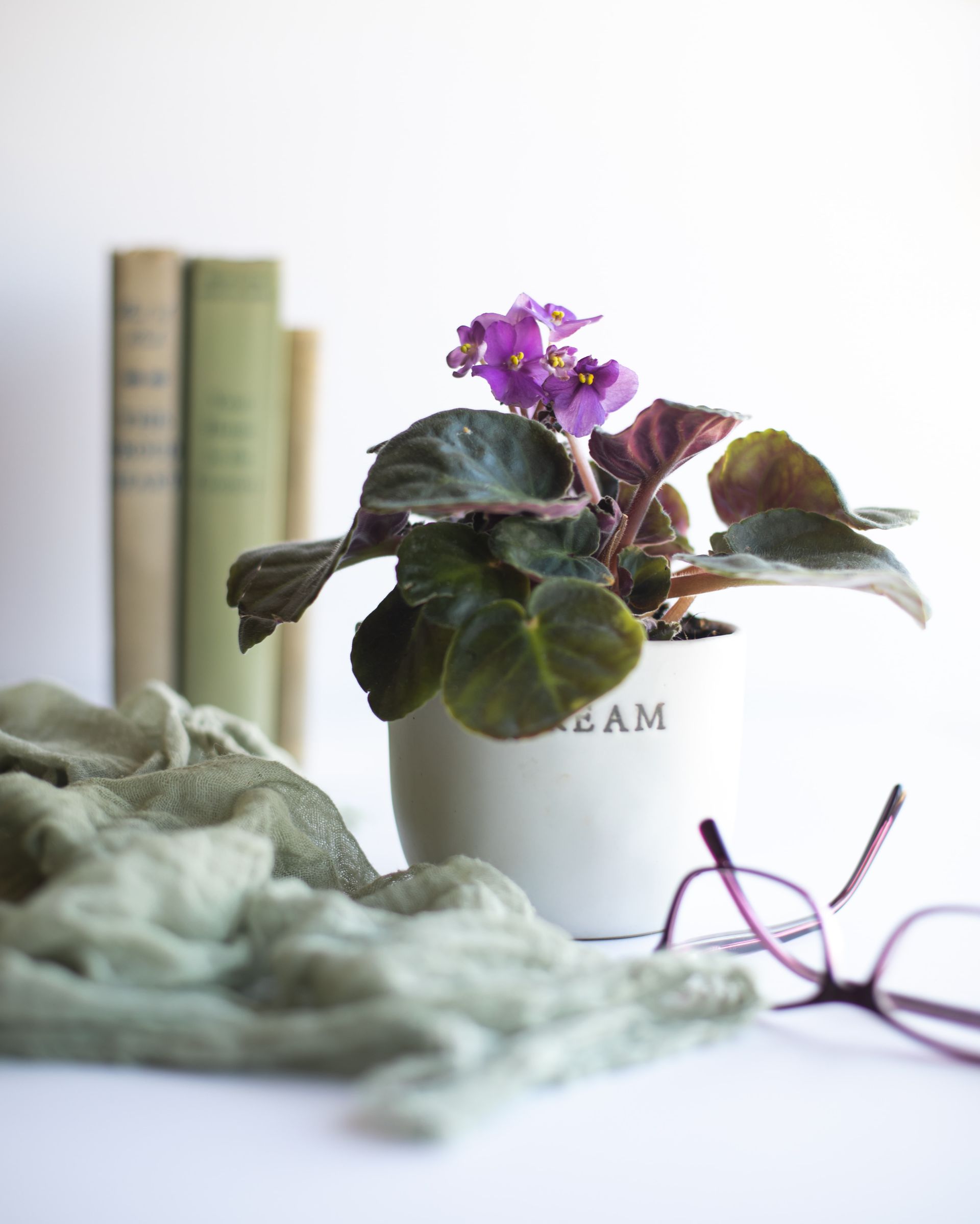 Winter flowers – how to decorate with florals and blooming indoor ...