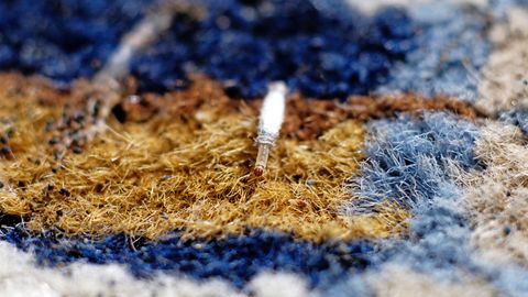 How to get rid of carpet moths and stop them destroying your home ...