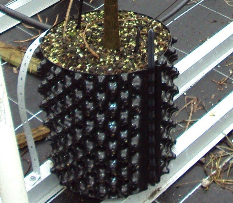 Guide To Air Pruning Containers: Tips On Air Pruning Roots | Gardening ...