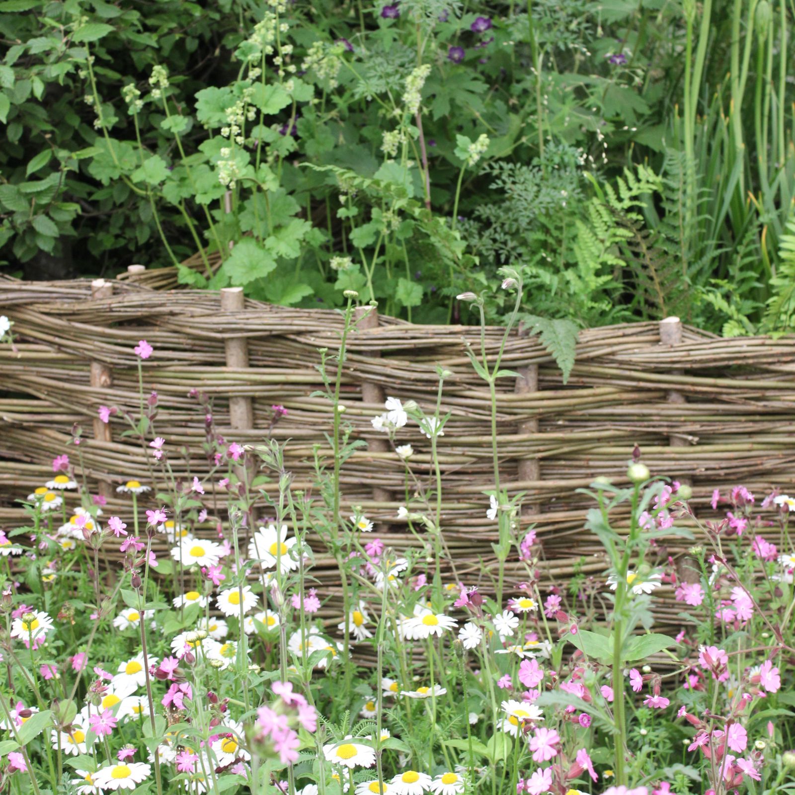 9 small garden fence ideas - the best colours and materials | Ideal Home