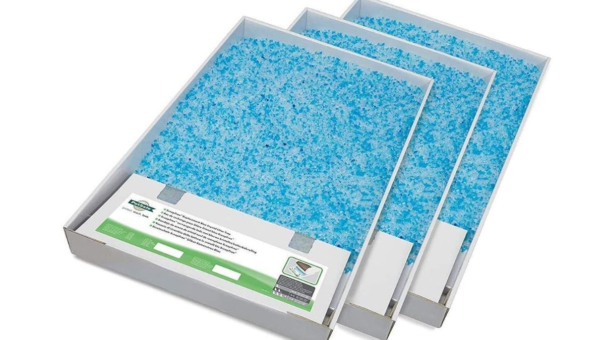 Best cat litter: Which is the top pick for your cat? | PetsRadar