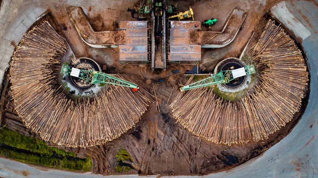 How is paper made from trees? | Live Science