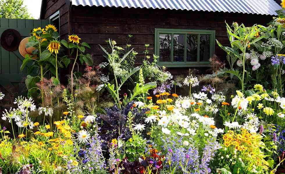 Cottage gardens: how to plan yours and 14 cottage garden ideas | Real Homes