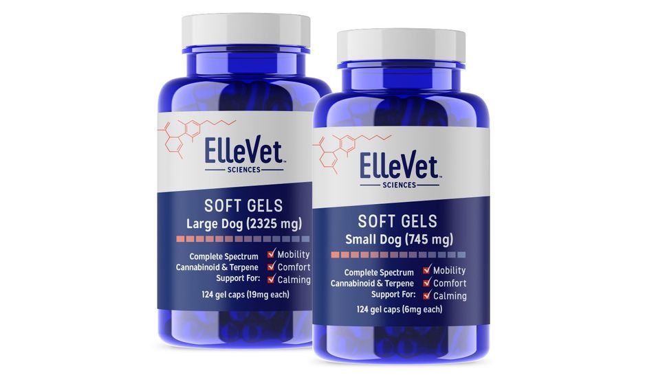 Ellevet CBD oil for dogs: American pet care company introduce CBD pet ...