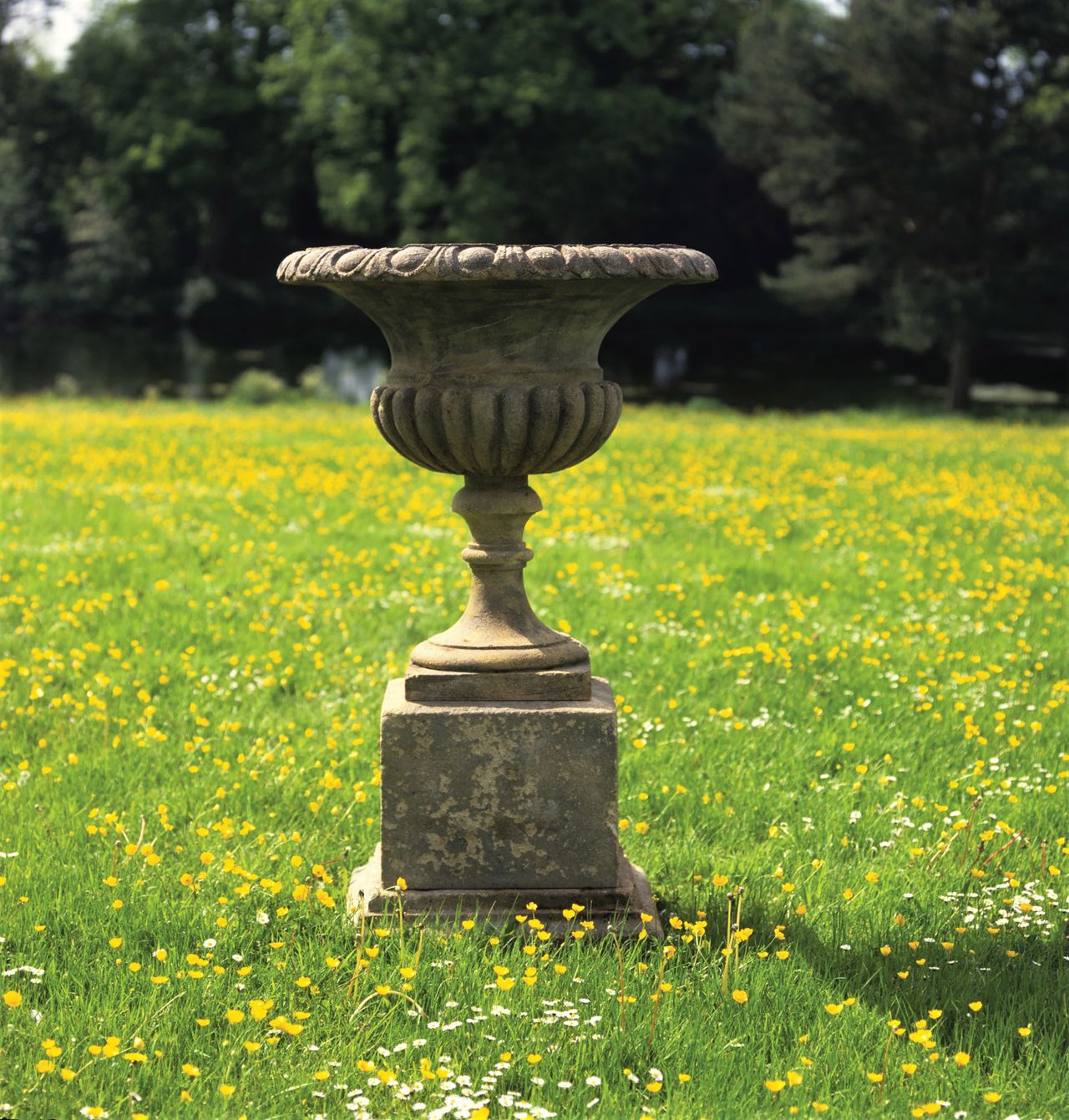 Lawn decoration ideas: 13 creative ways to make your plot stand out ...