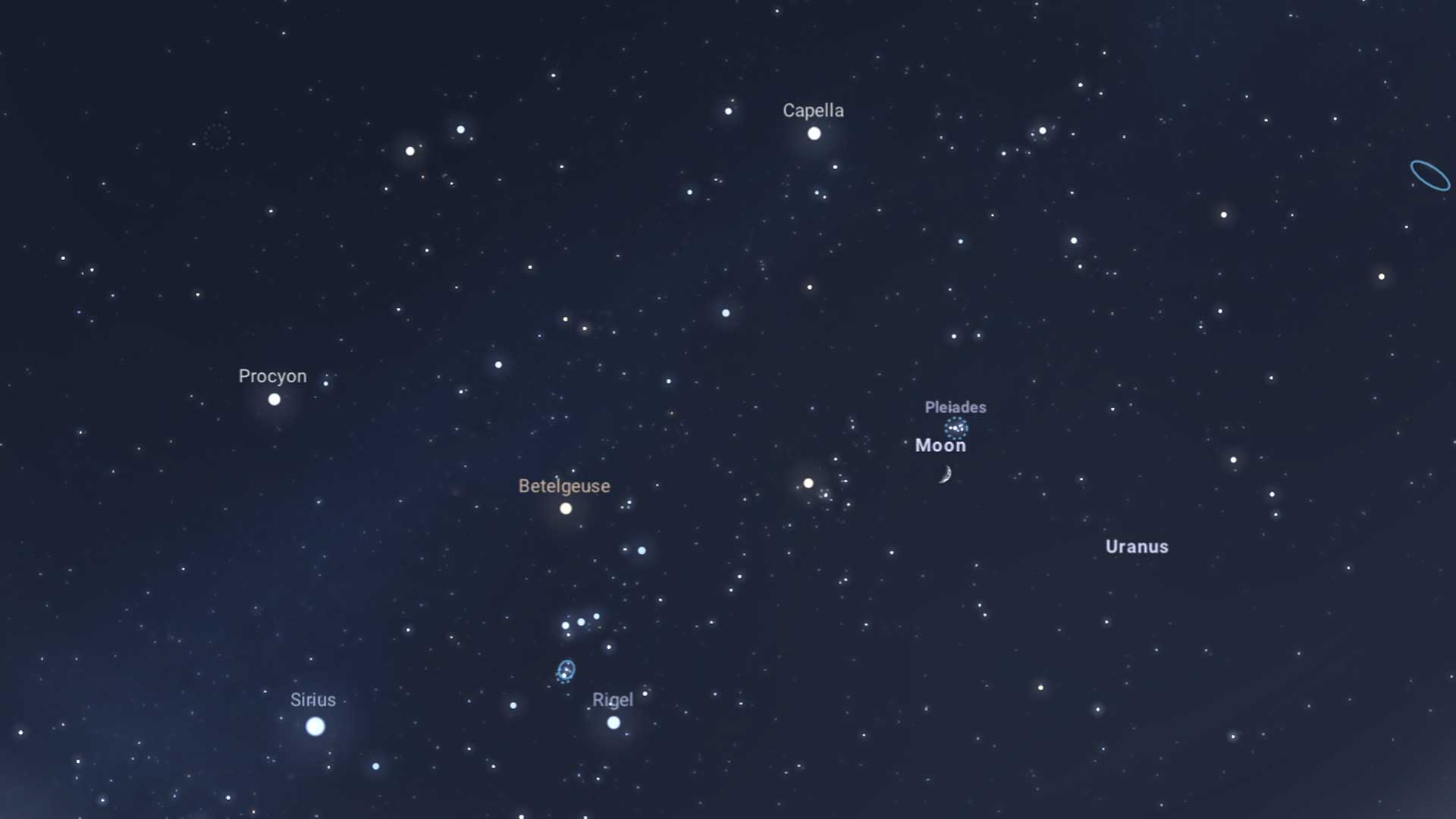 Sun Revolves Around Sirius