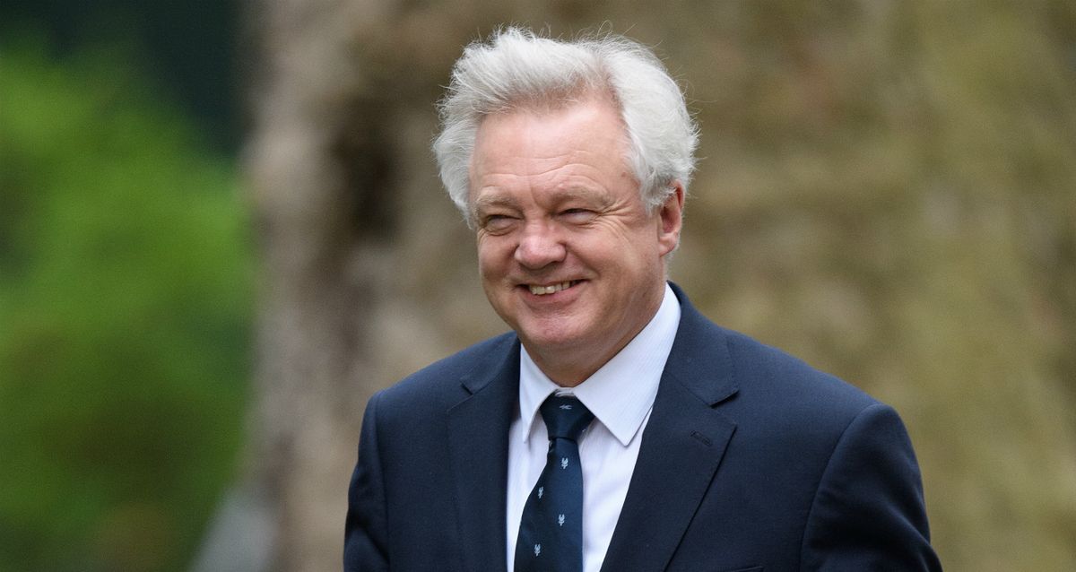 David Davis: Brexit hero or Mad Max maniac? | The Week