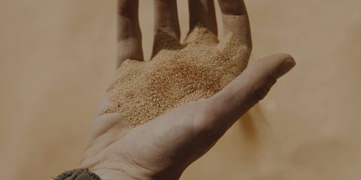 Dune's Giant Sandworm, Explained Ahead Of The Denis Villeneuve Movie ...