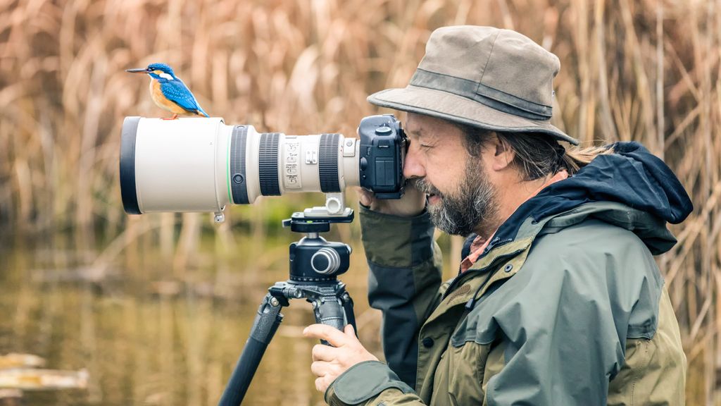 Common wildlife photography mistakes (and how to avoid them) | Digital ...