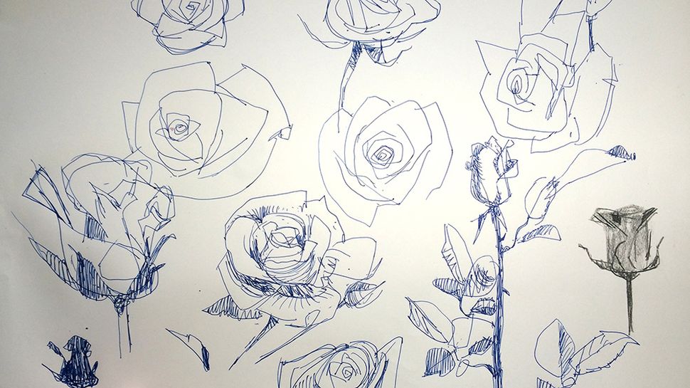 How to draw a rose: Beginner and advanced tips | Creative Bloq
