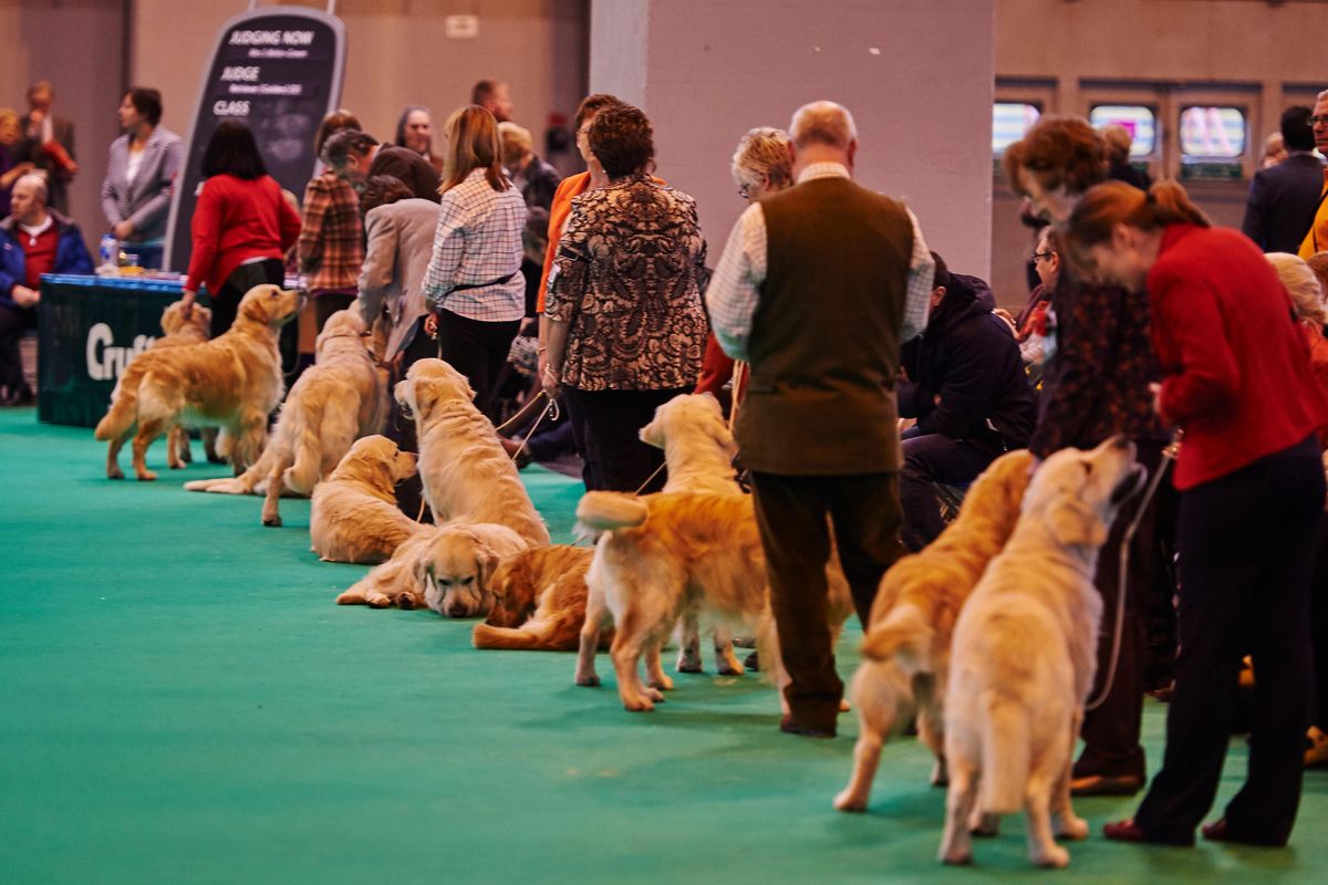 Crufts facts: Everything to know about the greatest dog show | PetsRadar