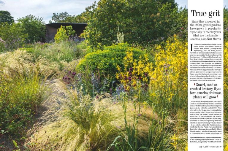 This week's issue of Country Life — and how to subscribe or get your ...