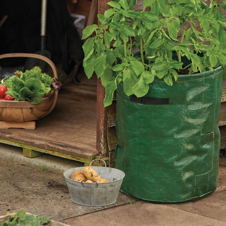 Garden experts reveal how to grow potatoes in containers | Ideal Home