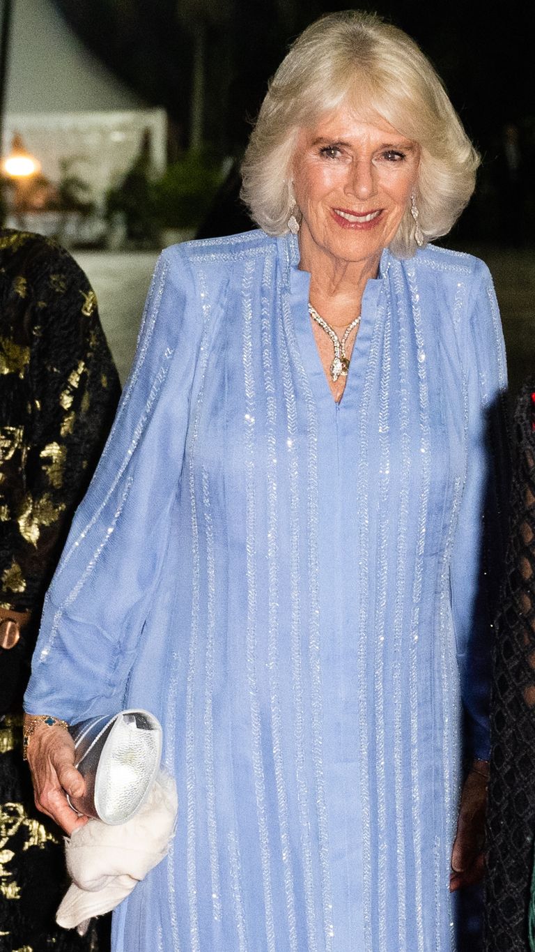 Queen Camilla’s blue tunic and palazzo trousers in Kenya | Woman & Home