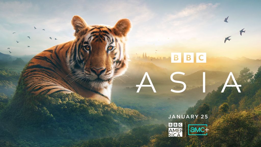 How to watch Asia with David Attenborough – UK & US streaming | Live ...